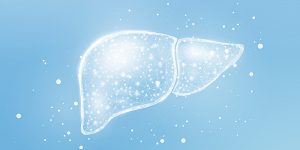 LIU Team Advances Whole-Organ Virtual Liver Model | LIU Headlines