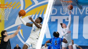 New York Post Features Sharks Basketball Success | LIU Headlines